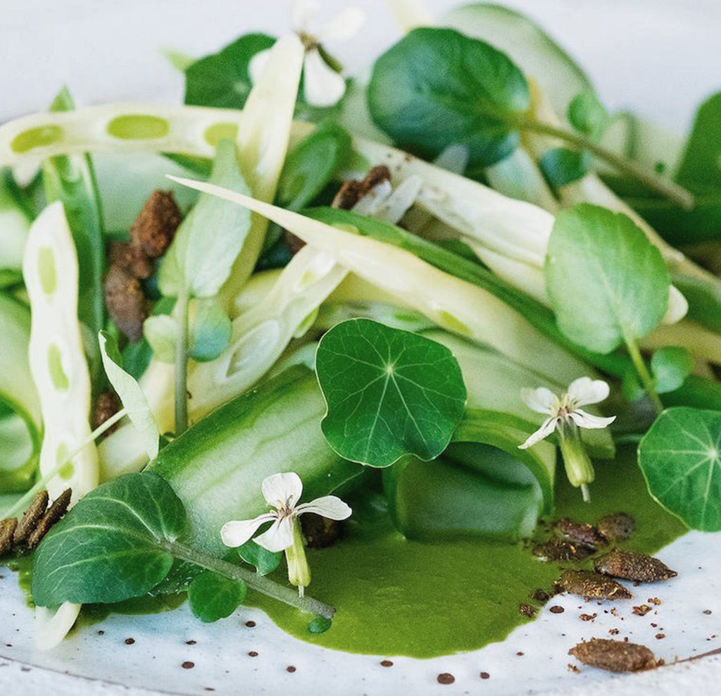 Beautiful Bean Salad Feat. Lion's Mane Pesto | Recipe by Heidi Flora