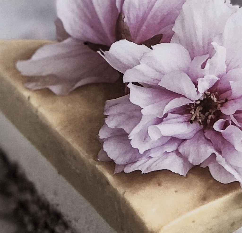 Raw Mango Coconut Cheesecake with Tremella | Recipe | SuperFeast